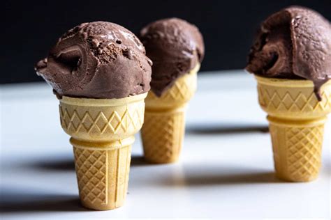 Homemade Chocolate Ice Cream Recipe And Temps Thermoworks