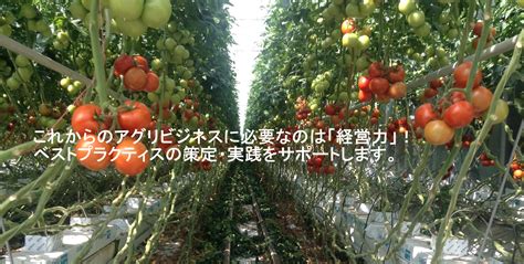 合同会社ベストプラクティスマネジメント 合同会社ベストプラクティスマネジメントは静岡県でアグリビジネスに携わる企業様をサポートする