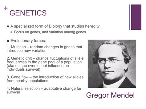 Evolution And Genetics 101 Ppt