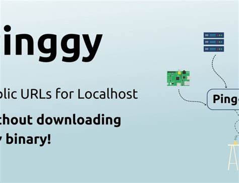 Pinggy Adds Support For Multiple Port Forwarding And Persistent Urls