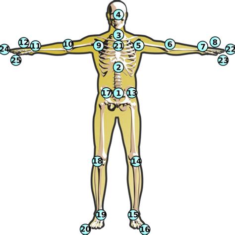 Pdf Skeleton Dml Deep Metric Learning For Skeleton Based One Shot