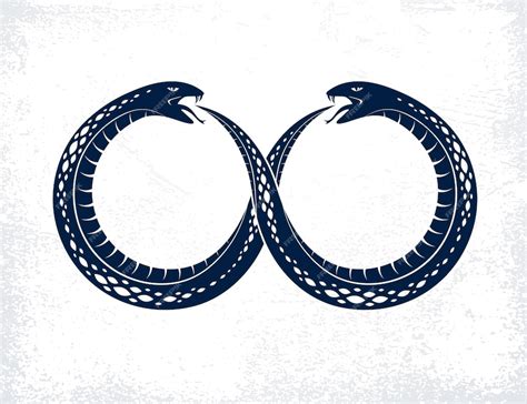 자신의 이야기를 먹는 뱀 무한대 상징 모양의 Uroboros 뱀 삶과 죽음의 끝없는 순환 Ouroboros 고대 상징 벡터 일러스트레이션 로고 엠블럼 또는 문신