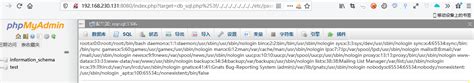 phpmyadmin历史漏洞复现 lonmar~的博客 csdn博客 web漏洞复现