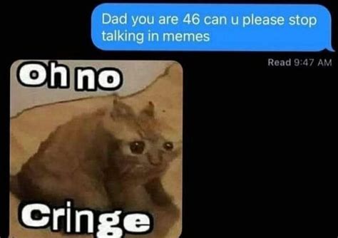 Wholesome Dad Meme Meme By Westenriddle Memedroid
