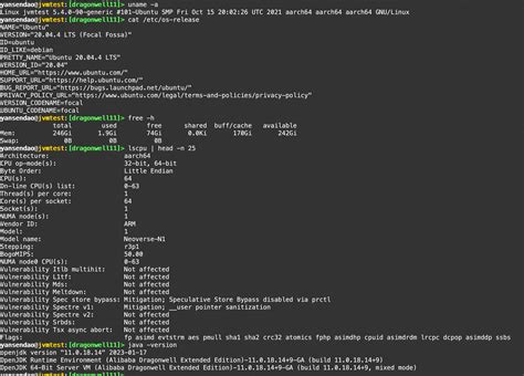 Xcomp选项运行用例com alibaba wisp bug TestWispSocketLeakWhenConnectRefused java失败 Issue