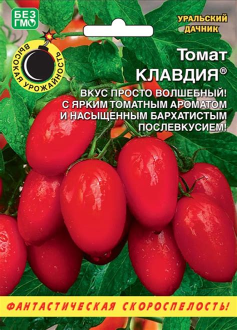 Томат Клавдия (Уральский дачник) Сумашедшая раннеспелость и ...