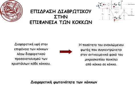 Δρ Στεφανόπουλος Γ Βασίλειος Ppt κατέβασμα