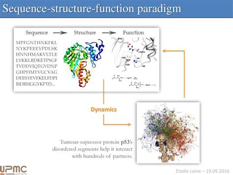 Structural Bioinformatics Ppt Download