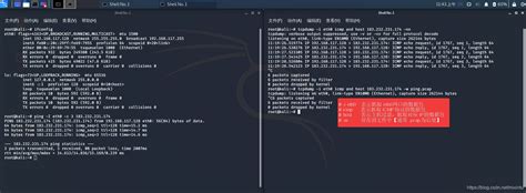 ping操作 icmp的数据包的分析（基础学习） icmp包分析 csdn博客