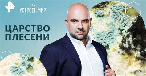 Как устроен мир с Тимофеем Баженовым — Царство плесени 02 08 2024 смотреть онлайн в хорошем