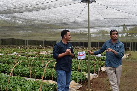 A Compelling Case For Multi Stakeholder Cooperation From Lampung Indonesia