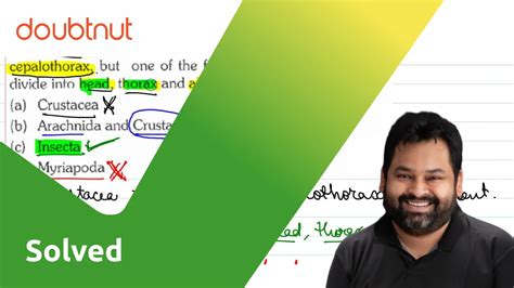 In Arthropoda Head And Thorax Are Often Fused To Form Cepalothrax Bu