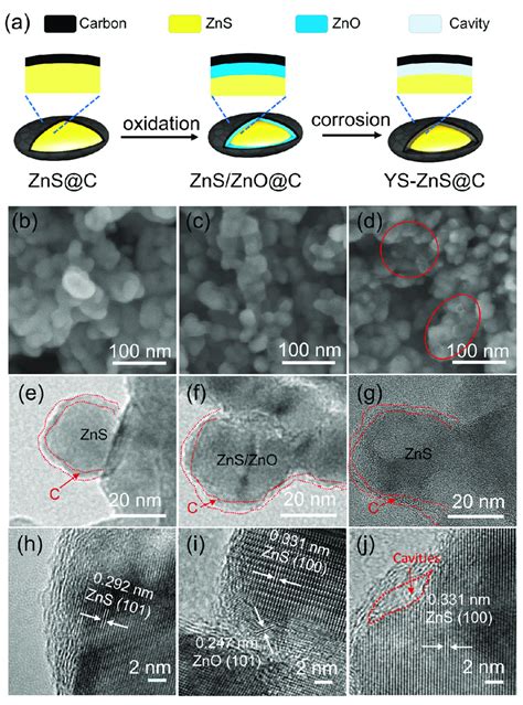 A Schematic Illustrations For The Formation Process Of Yolk Shell