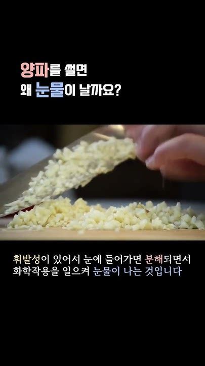 양파를 썰면 왜 눈물이 날까요 L양파ㅣ상식ㅣ생활꿀팁 Youtube