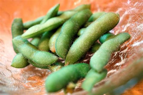 枝豆の育て方・栽培方法｜初心者はプランターがおすすめ！コツや注意点も紹介！ Umm 農業とつながる情報メディア