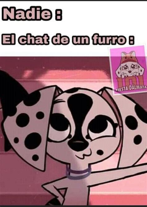 Memes De Calle Dálmatas 101 Dálmatas Dalmata Memes