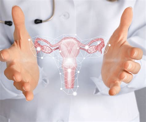 Histerectomía • Informaciones Sobre Anestesia Y Cirugia • Hoopcare