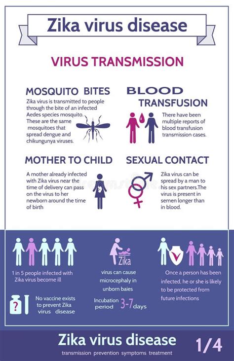 Zika Virus Disease Zika Virus Infographictransmission Prevention