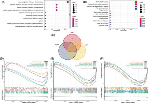 Functional Enrichment Analysis A Gene Ontology Go Function