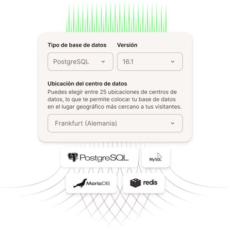 Alojamiento De Bases De Datos Para Todos Tus Proyectos Web Kinsta®
