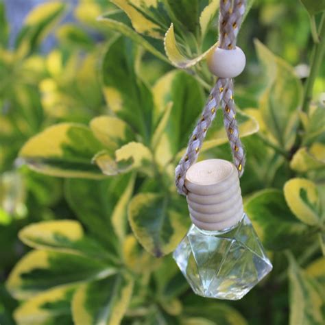 Diamond Car Diffuser Etsy