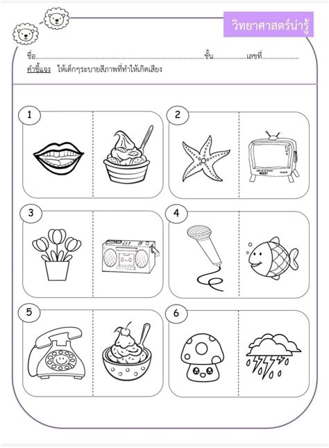 ️ชุดวิทยาศาสตร์ พื้นฐานปฐมวัย ️ ใบงานอนุบาล คุ้มกะตังค์