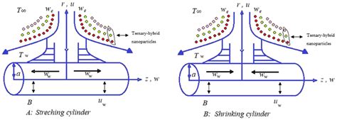 Flow Configuration Of Physical Model With Coordinates System For Cylinder Download Scientific