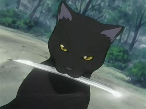 Cantinho Do Pirralho Top 5 Gatos Pretos Em Animes E Mangas