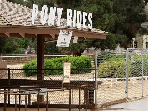 Las Griffith Park Pony Rides Shutting Down Owner Blames Activists