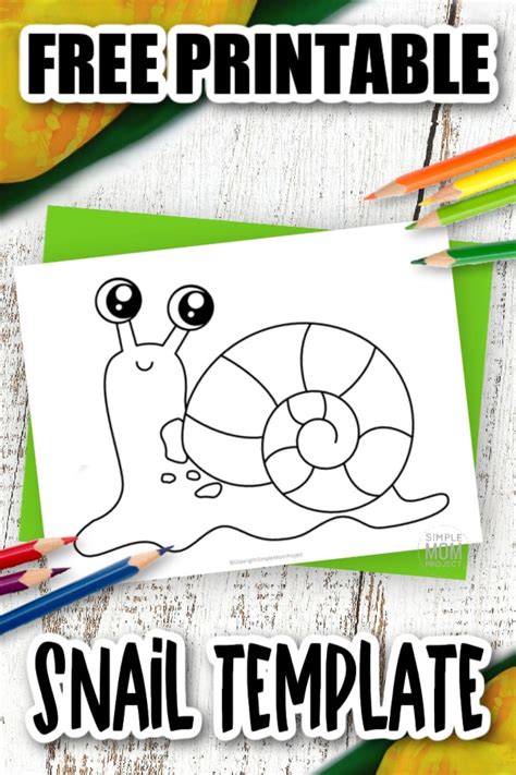 Snail Template