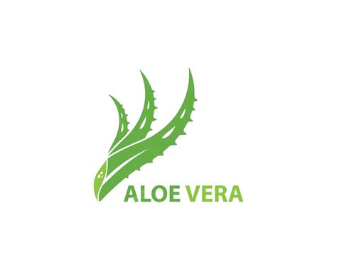 Aloe Vera Logo Vector Silhouette Herbal Style Vector Silhouette Herbal Style Png And Vector