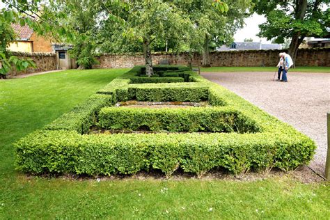 Square Hedges By Sequential On Deviantart