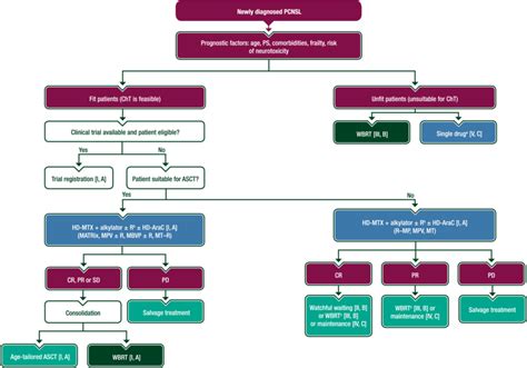 Treatment Algorithm For Newly Diagnosed PCNSL Purple General