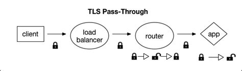 Securing Incoming Traffic In Cloud Foundry Cloud Foundry Docs