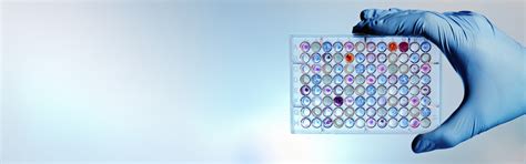 Understanding Electromagnetic Hypersensitivity Ehs