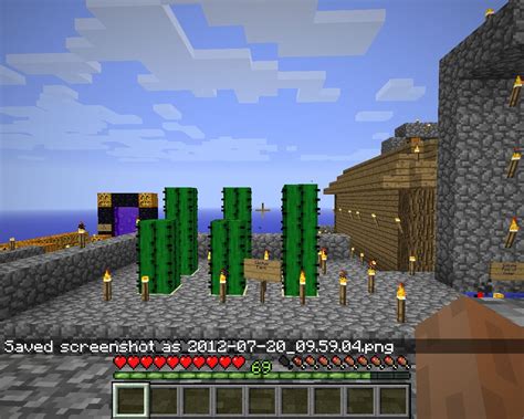 Skyblock Survival Map Minecraft Project