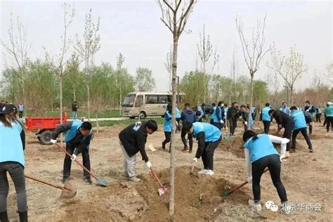 北京华商会组织会员参加市侨联“学习创新理论，开展义务植树，建设美丽中国”主题党日植树活动 北京华商会