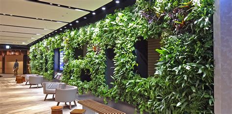 壁面緑化 観葉植物の生産・レンタル・販売｜株式会社 プラネット