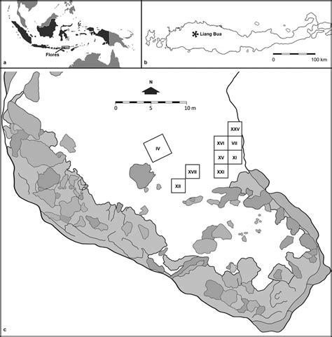 Location And Excavation Plan Of Liang Bua A Location Of Flores Along