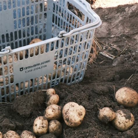 캠핑브이로그 가을캠핑이 좋은 이유 쉼이 있는 공간 Youtube