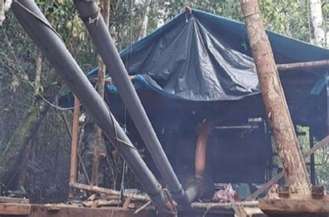 Loreto Fiscalía en Materia Ambiental de Maynas da duro golpe a la