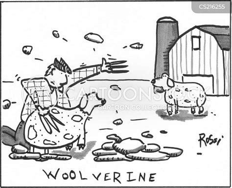 Sheep Shearing Cartoons And Comics Funny Pictures From Cartoonstock