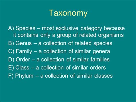 Bacillus Subtilis Taxonomy