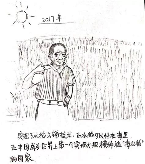 袁隆平手抄报简笔画 隆平用简笔画怎么画 隆平儿童画 第5页 大山谷图库