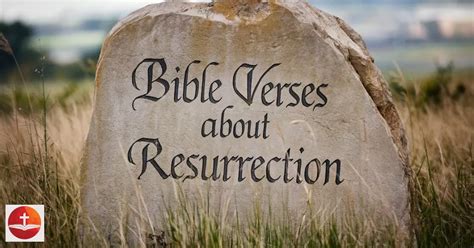 Bible Verses About Resurrection The Hope Of New Life