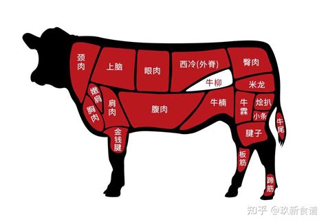 牛里脊与菲力牛排黄瓜条嫩肩有什么关系呢 知乎
