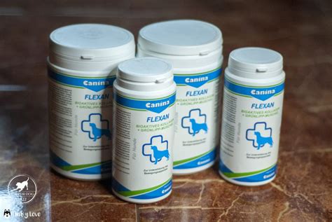 Top for Dog: FLEXAN Canina Pharma