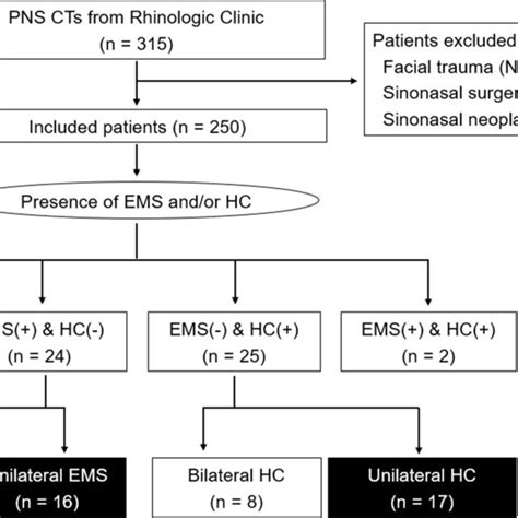 Flow Diagram Showing The Process Of Classification Of Patients In The Download Scientific
