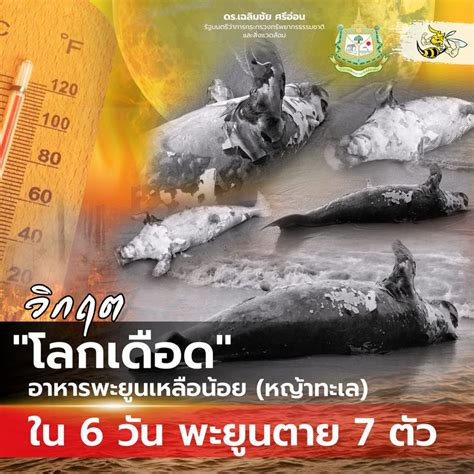 [ดร เฉลิมชัย ศรีอ่อน รัฐมนตรีว่าการกระทรวงทรัพยากรฯ] วิกฤต พะยูน ไทยใกล้สูญพันธุ์ ปี 2565 มี