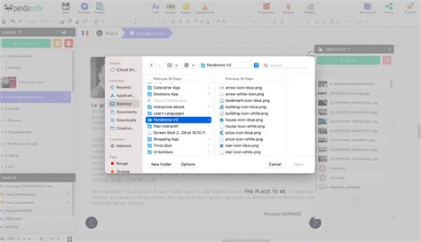 upload assets pandasuite docs
